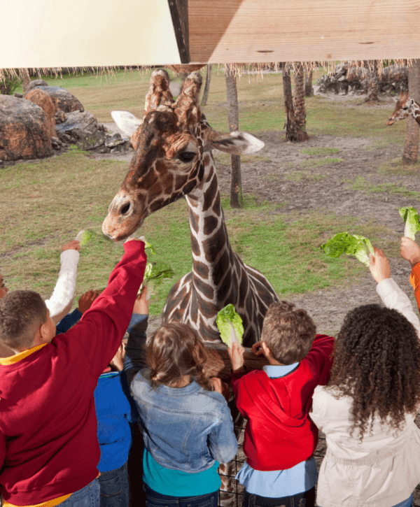 About CLOtC - Council for Learning Outside the Classroom