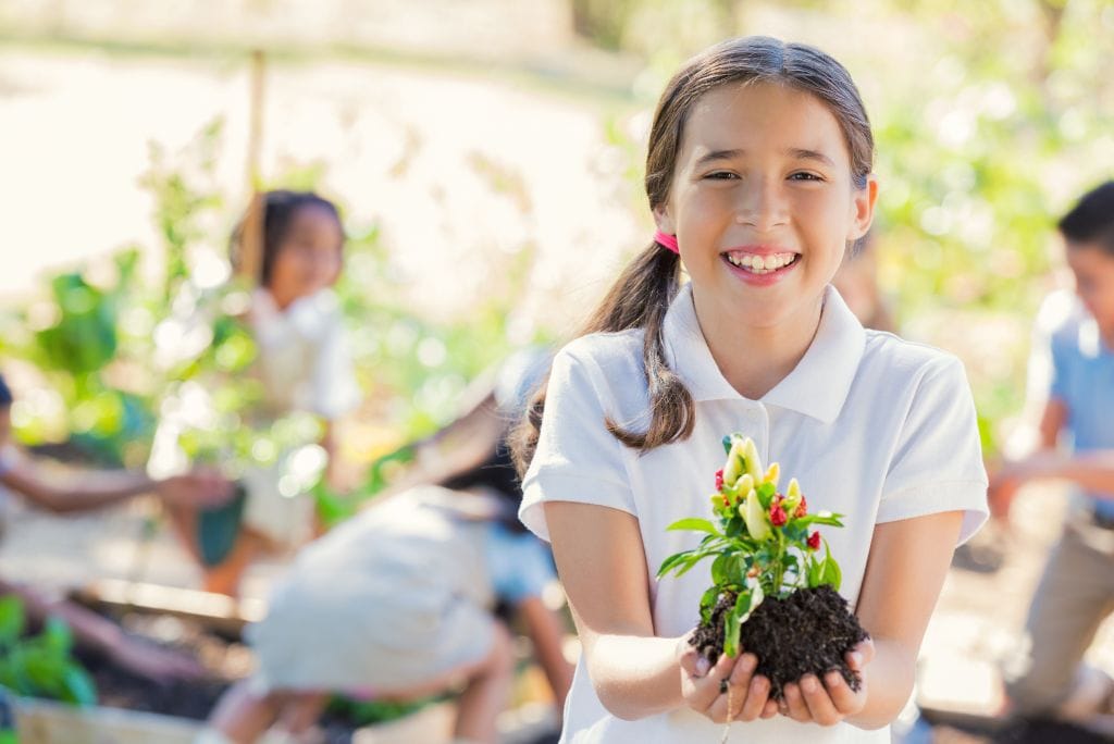 Developing LOtC for Trainee Teachers - Council for Learning Outside the ...