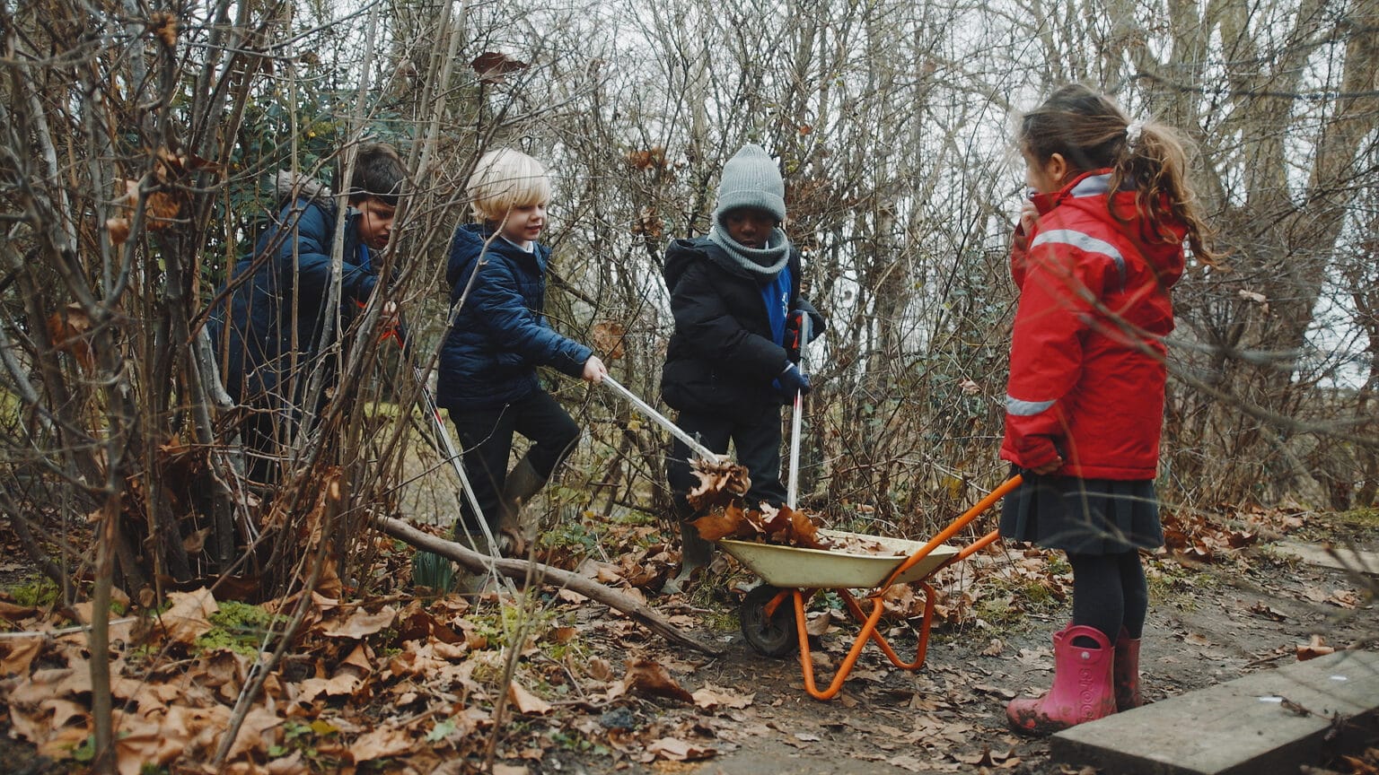 How to make the most of your school grounds for learning - Council for ...